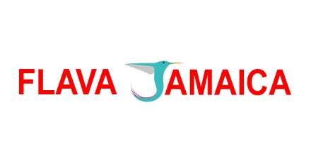 Flava Jamaica Restaurant 21 Torrey Street – Order pickup and delivery